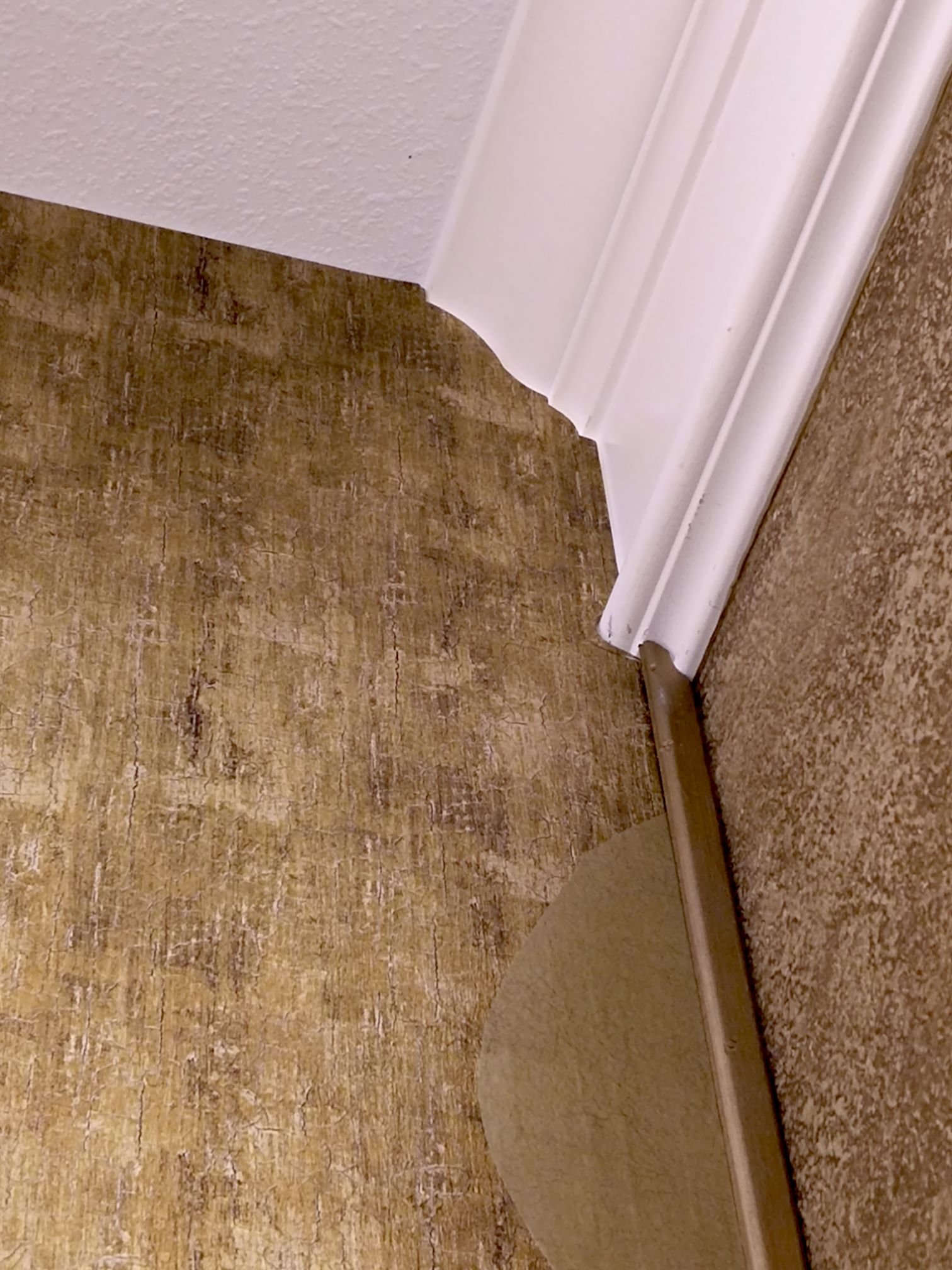 Making a Partition Wall for my big room to closet conversion!