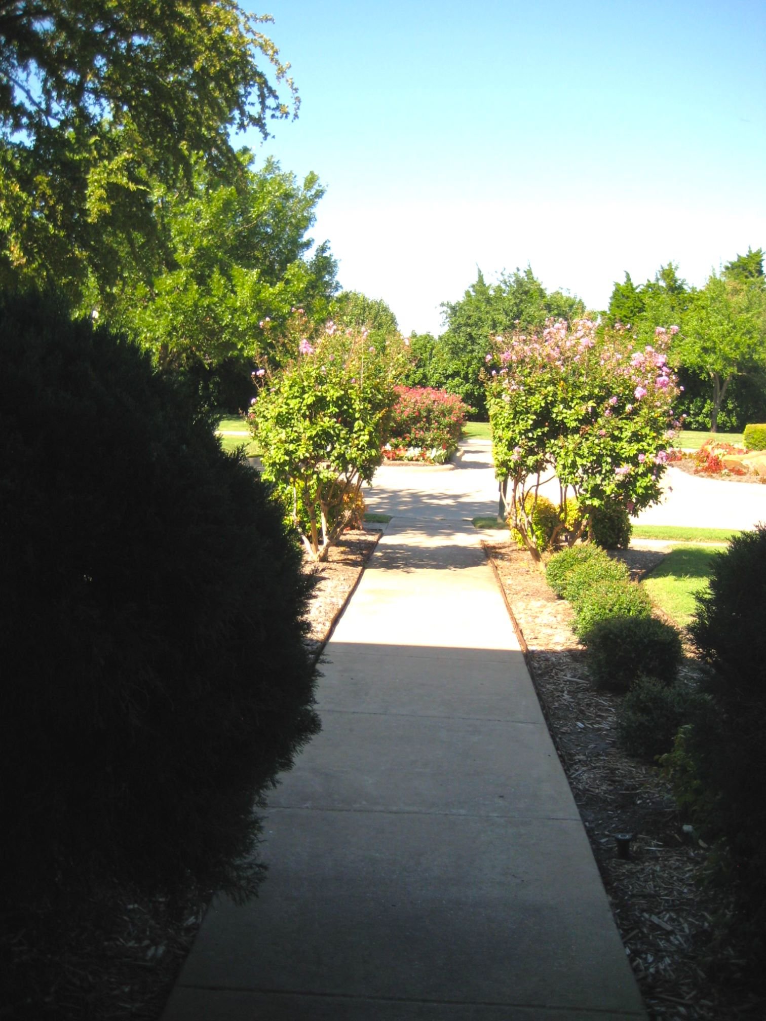 Our large overgrown yard met its match! DIY frontyard landscape.